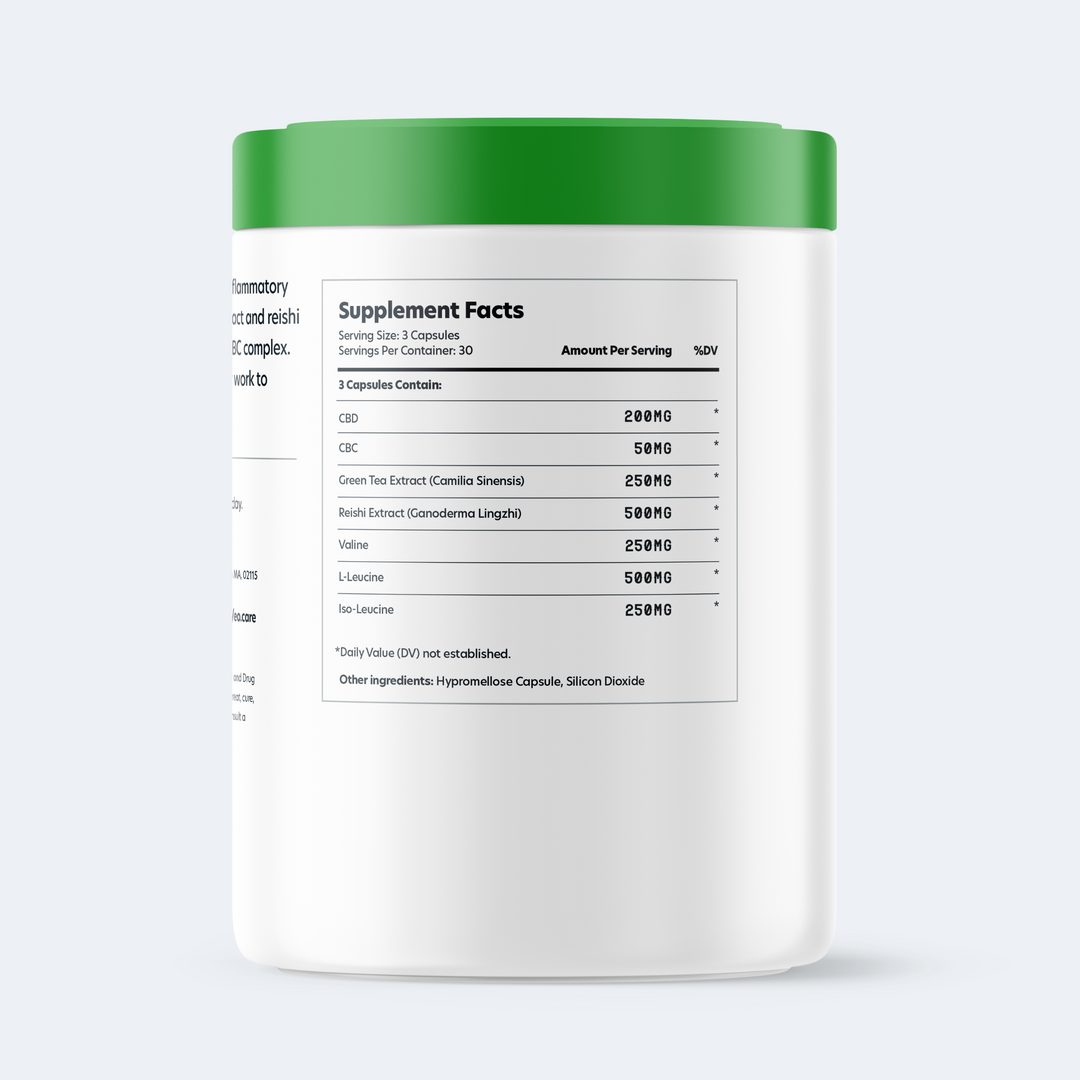 Guided Relief | CBD Capsules for Pain Relief – Wise Use Is Here